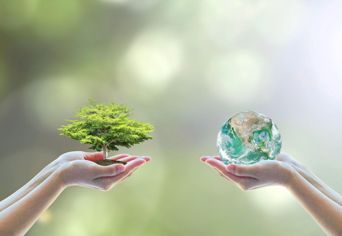 Going Green With Your Next Print Project - Article