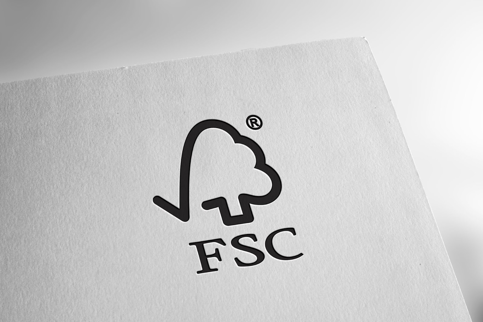 Sustainability and FSC Certification - Why it Matters